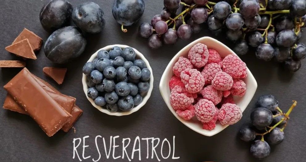 Get Ready to Maximize Health Benefits with The 5 Best Resveratrol ...